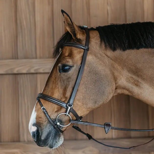 BRIDON DE TRAVAIL | DYON | Bridon Équitation | JCD Sellerie