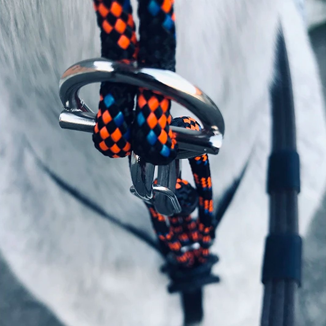 ENRENEMENT HOWLETT | IHWT | Howlett Équitation | JCD Sellerie